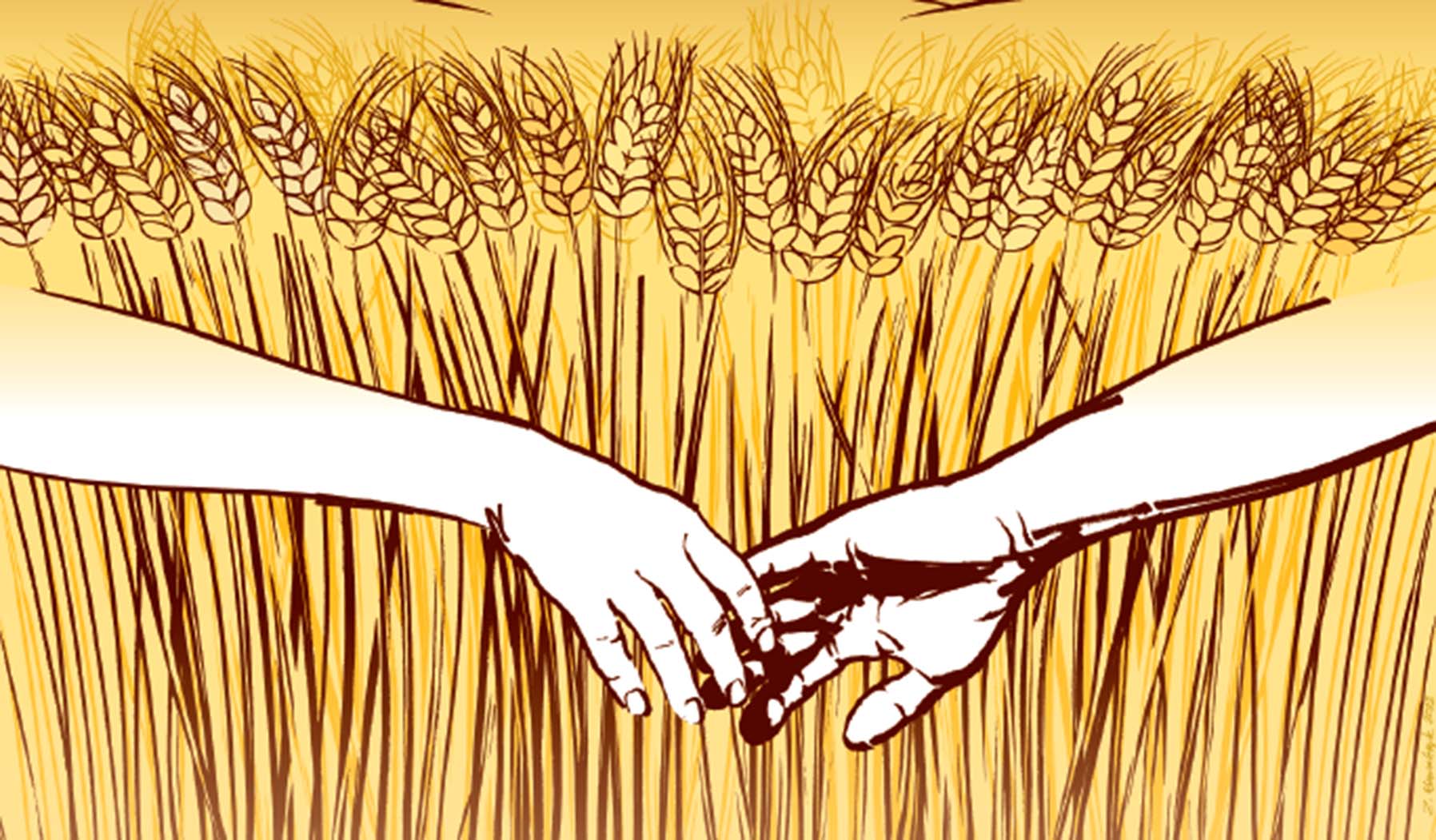 dożynki województwa mazowieckiego - Życie Powiatu na Mazowszu